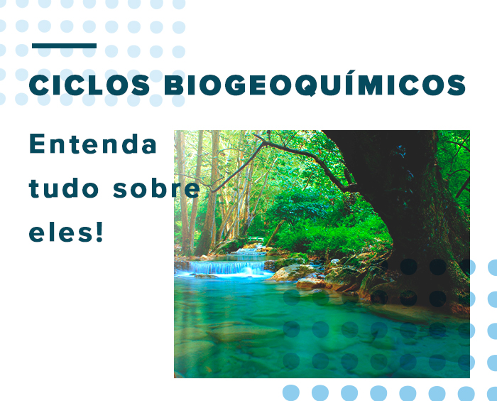 Ciclos biogeoquímicos: entenda tudo sobre eles! - Stoodi